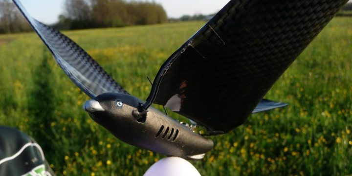 Recensione Bionic Bird | InfoDrones.It