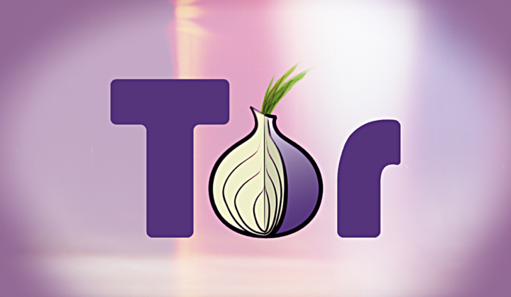 Hacker ha trovato una falla in Tor Browser | InfoDrones.It
